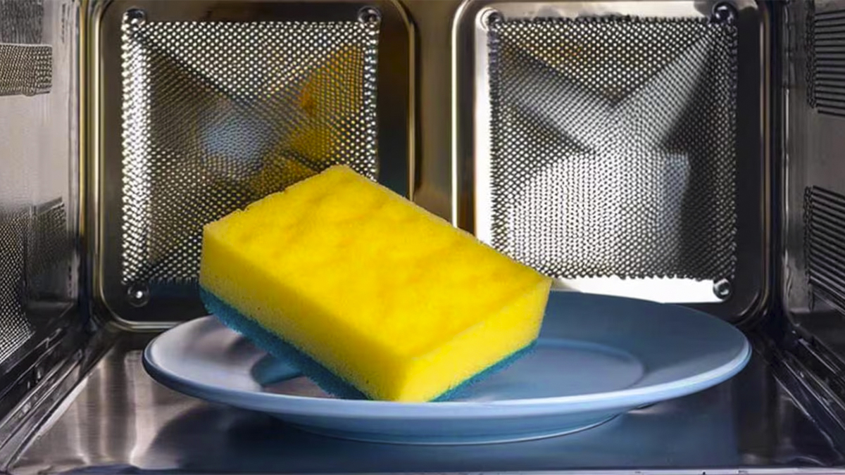 Éponge de cuisine : La méthode miracle au sel et micro-ondes pour ...